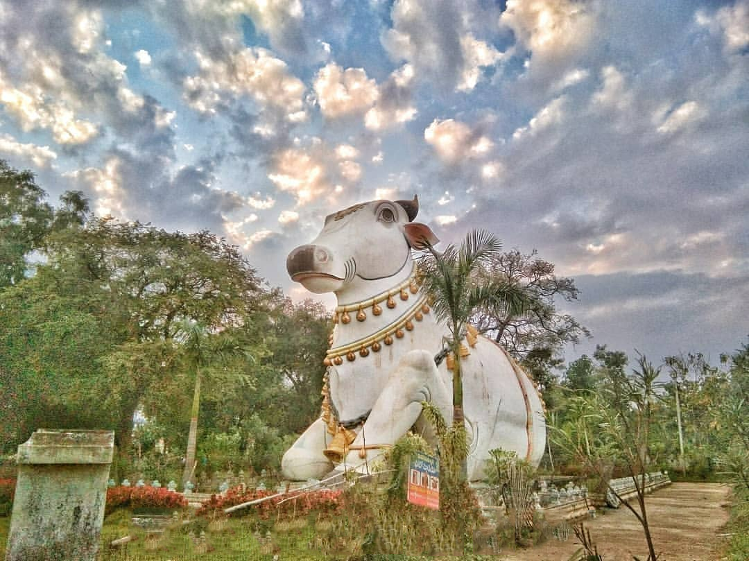 Mahanandi Temple History, Timings & Accommodation